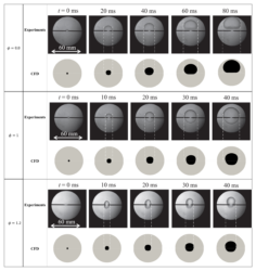 Academic Spotlight: Illuminating the Physics of Fuel Sprays and ...